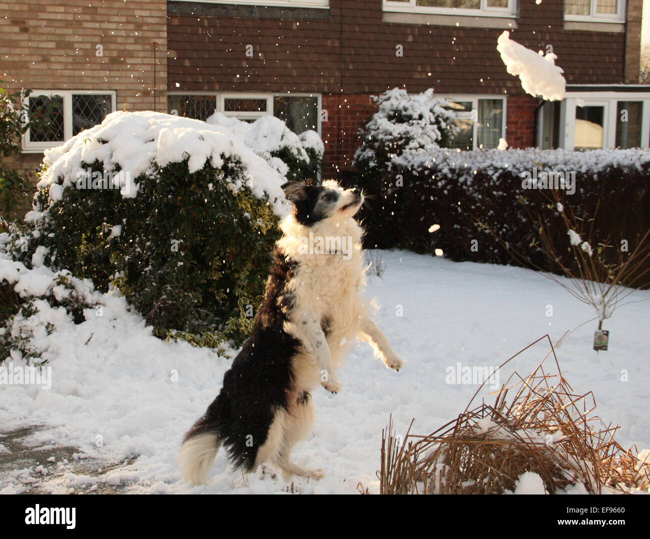 Snowfall chesterfield hi-res stock photography and images - Alamy