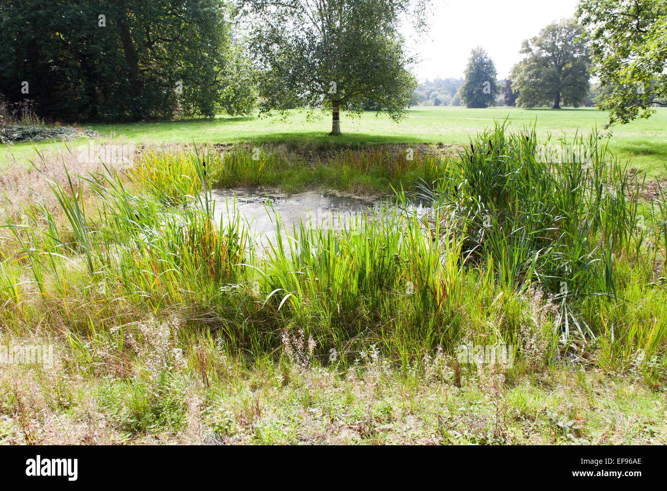 Suds pond hi-res stock photography and images - Alamy