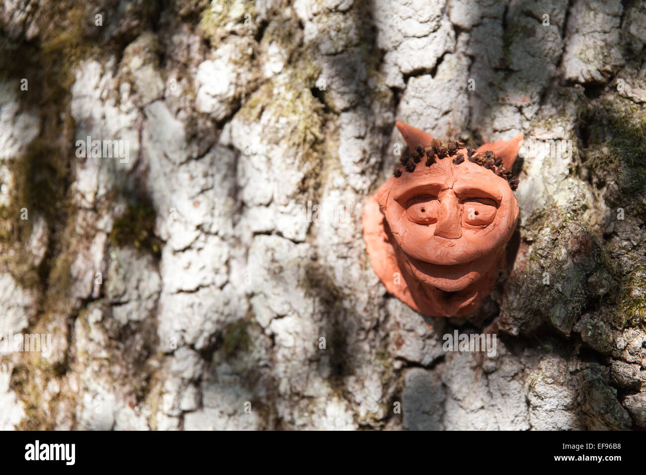 Devil tree hi-res stock photography and images - Alamy