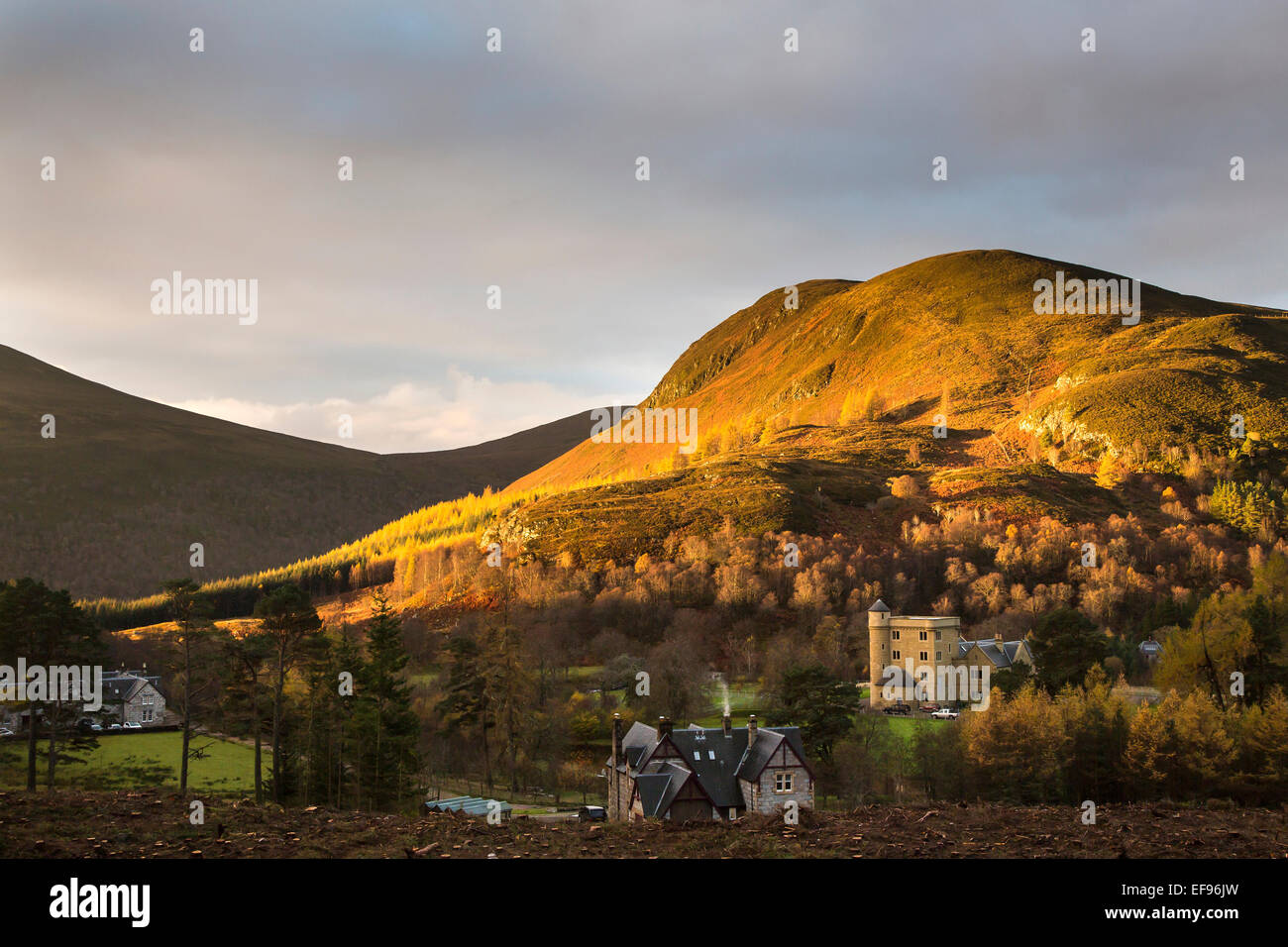 Kildermorie Estate near Alness, Ross and Cromarty, Highland, Scotland ...