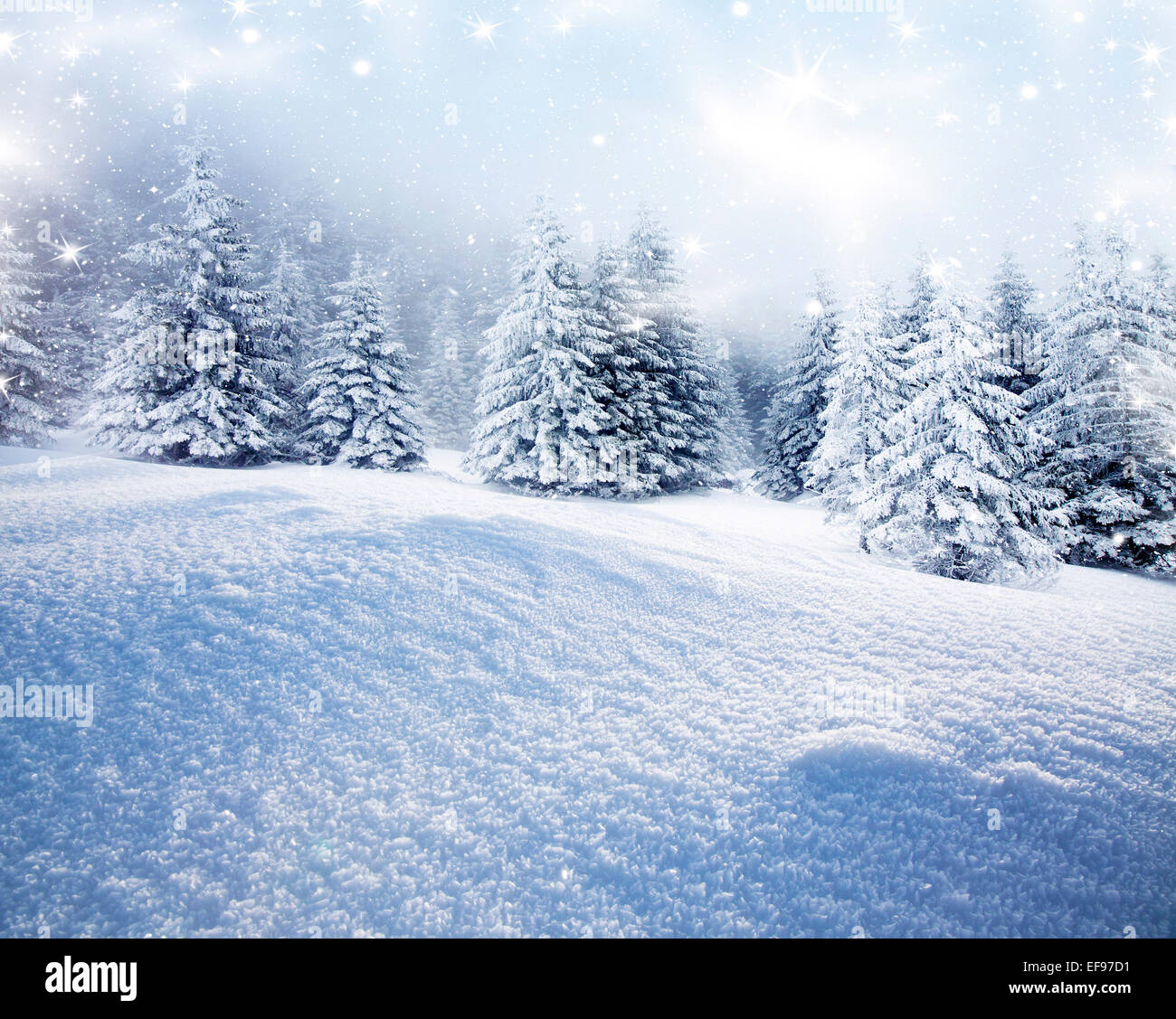 Winter landscape with snowy fir trees Stock Photo - Alamy