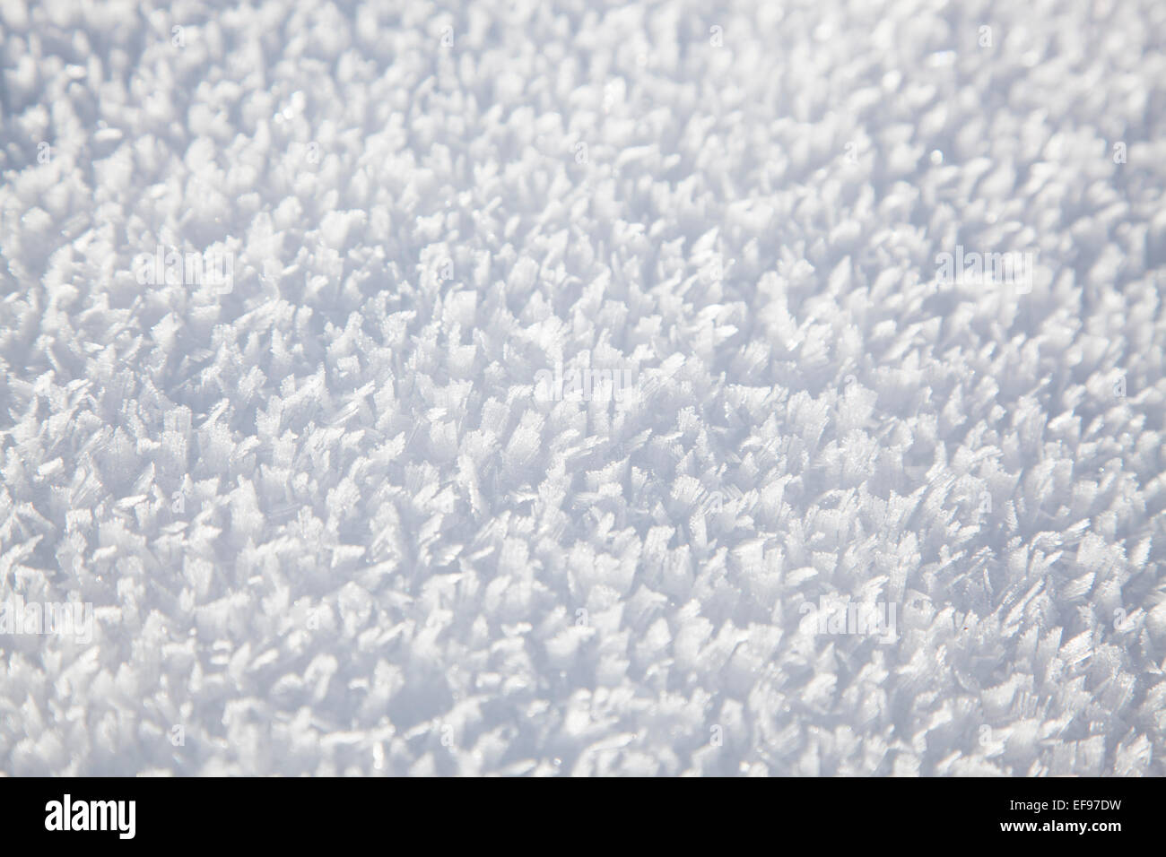 Fresh snow background hi-res stock photography and images - Alamy