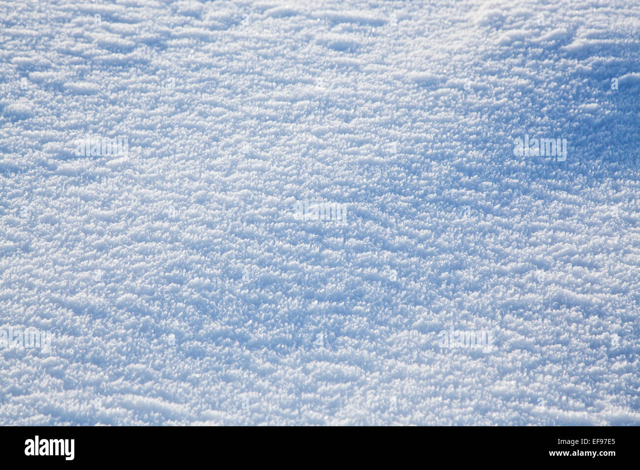 Fresh snow background hi-res stock photography and images - Alamy