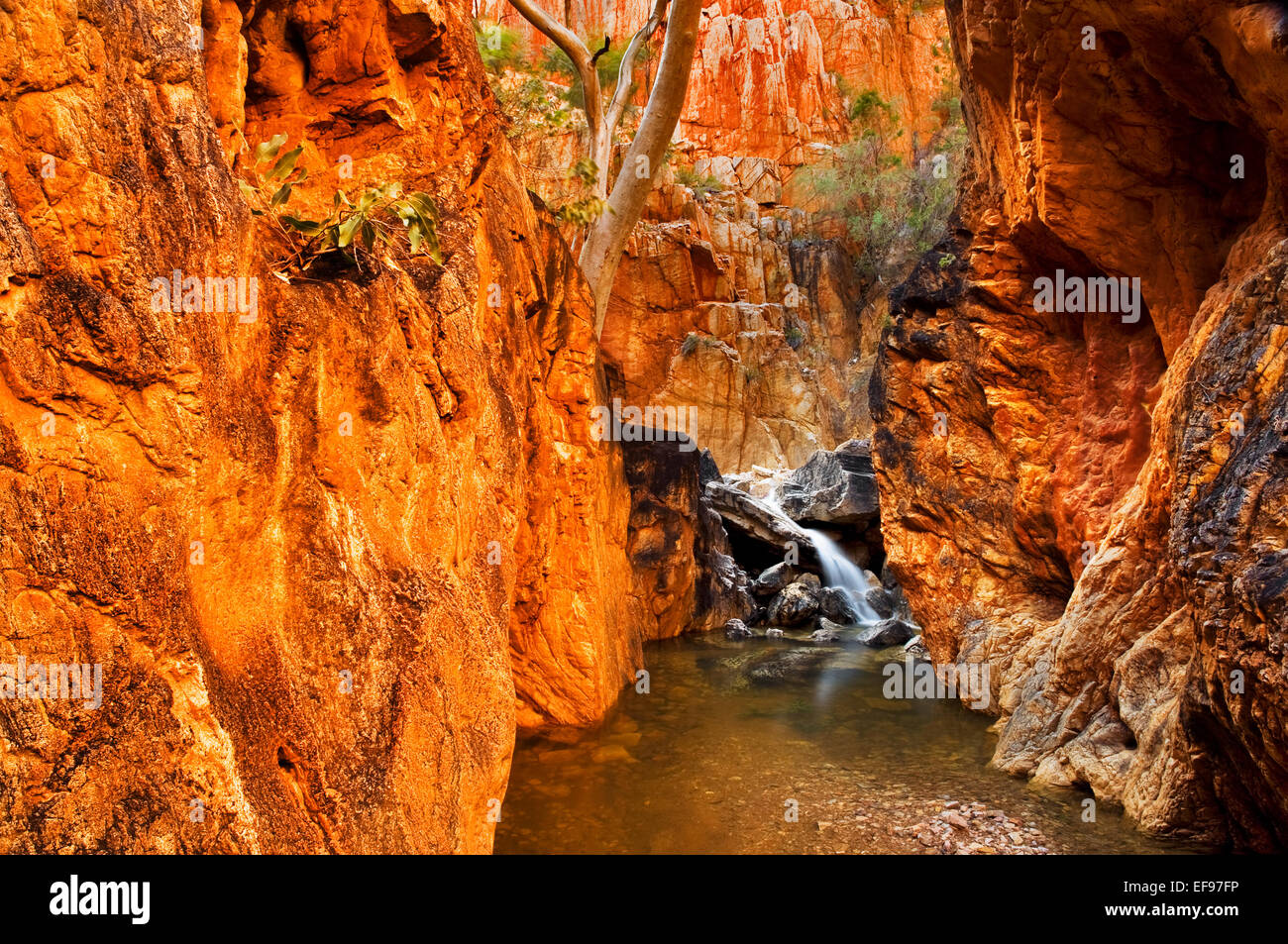 Australia chasm gorge desert hi-res stock photography and images - Alamy
