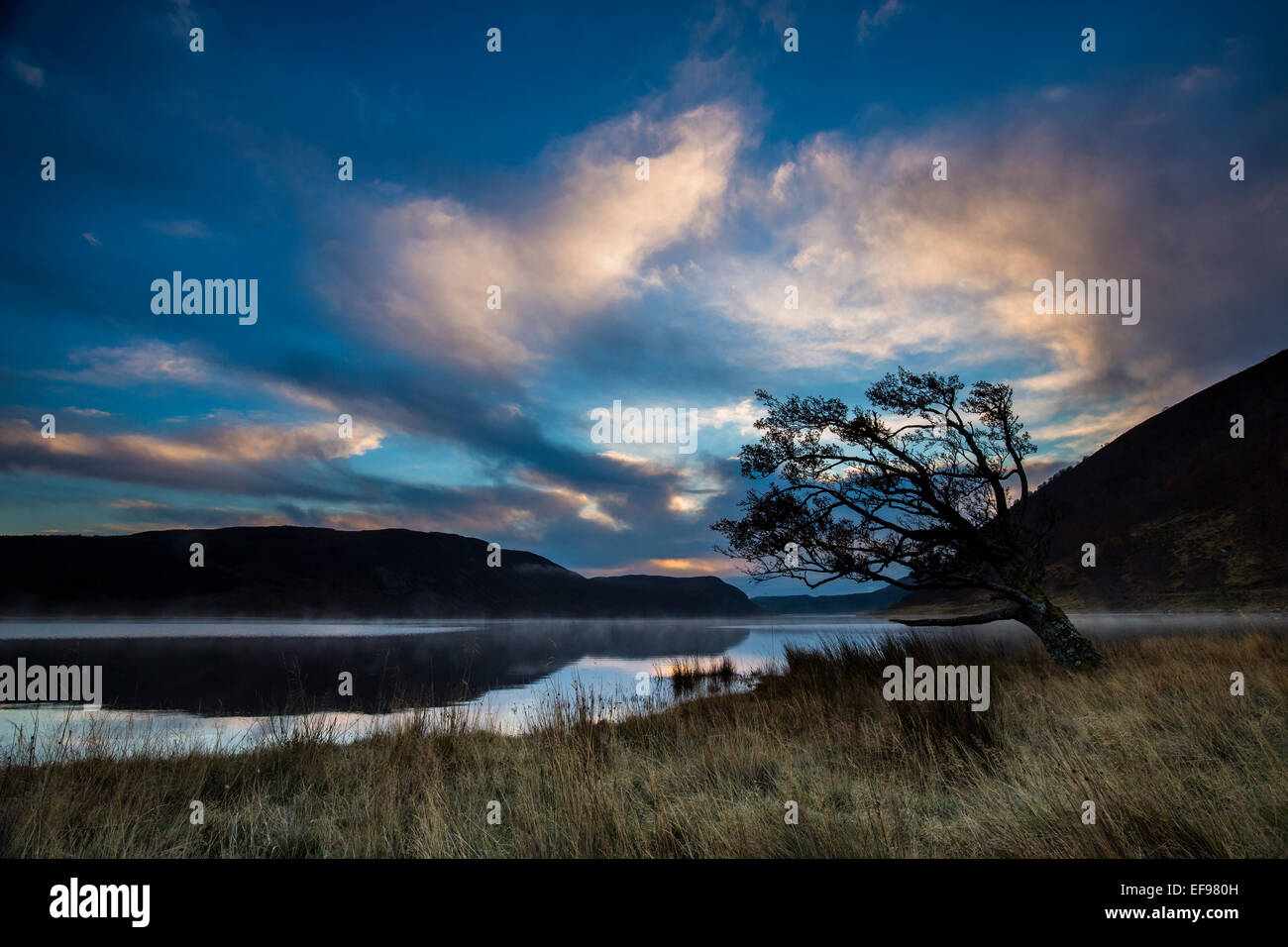 Alness scotland hi-res stock photography and images - Alamy