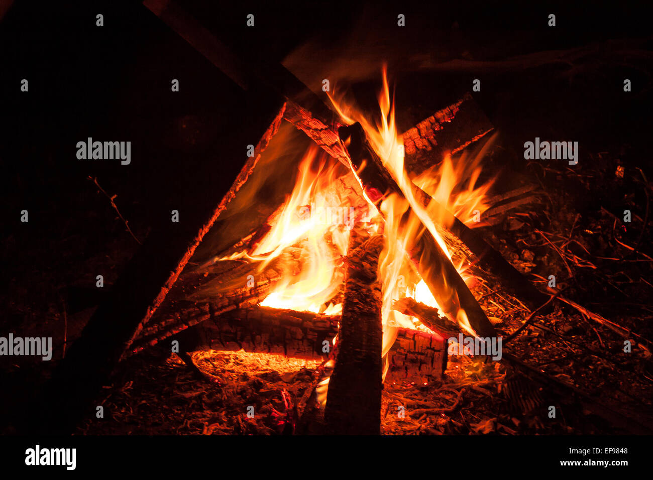 Bonfire at night Stock Photo - Alamy