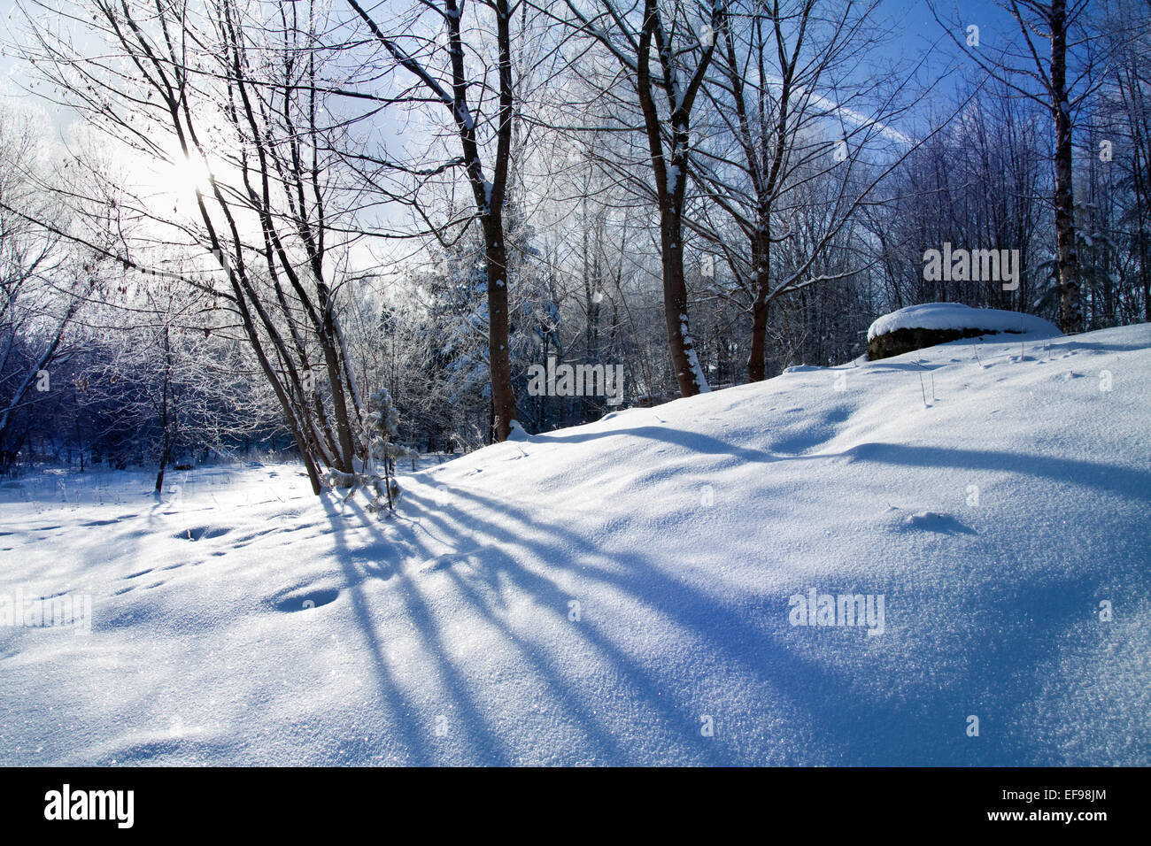 Dawn over village hi-res stock photography and images - Alamy