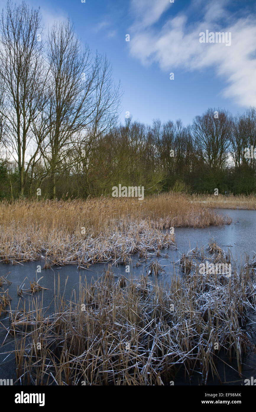 The Humber Bridge Viewing Area pond on a cold winter day in January ...