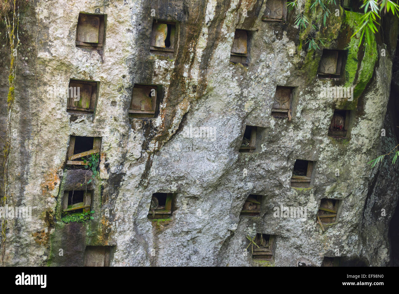 The traditional burial site of Pana deep into the jungle. Coffins are ...
