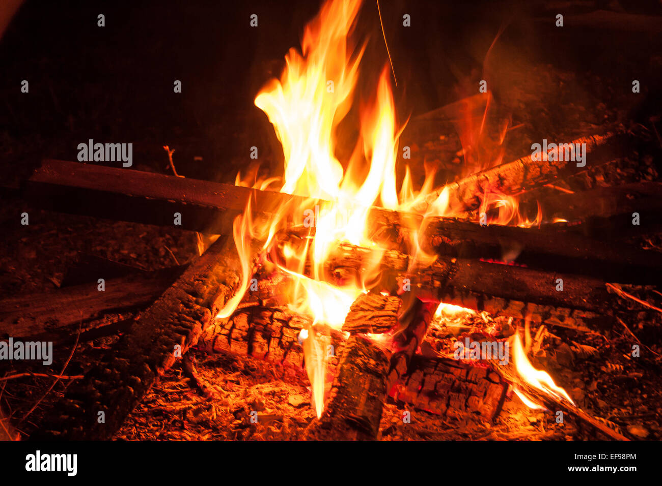 Bonfire at night Stock Photo - Alamy
