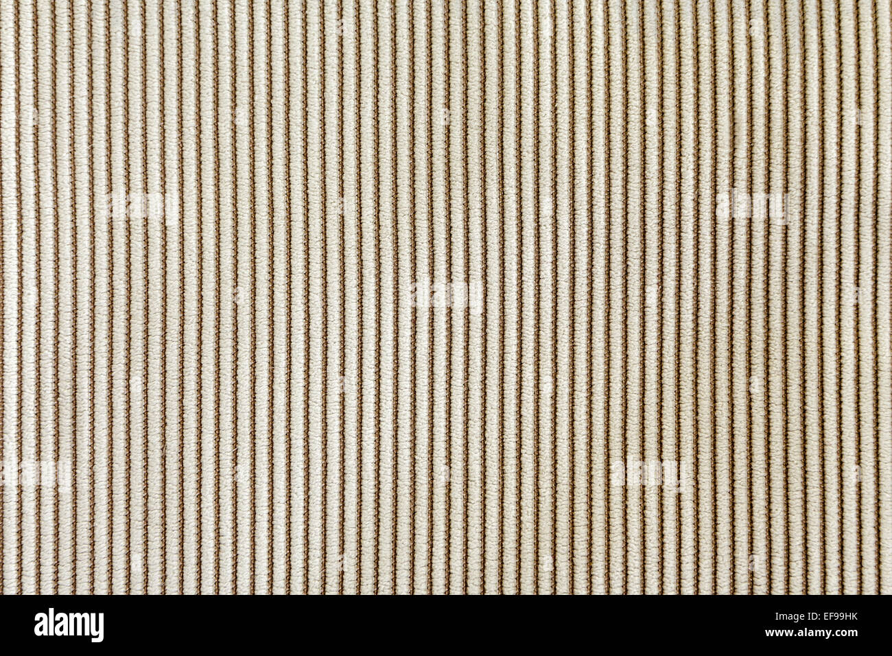 Fine beige corduroy fabric Stock Photo - Alamy