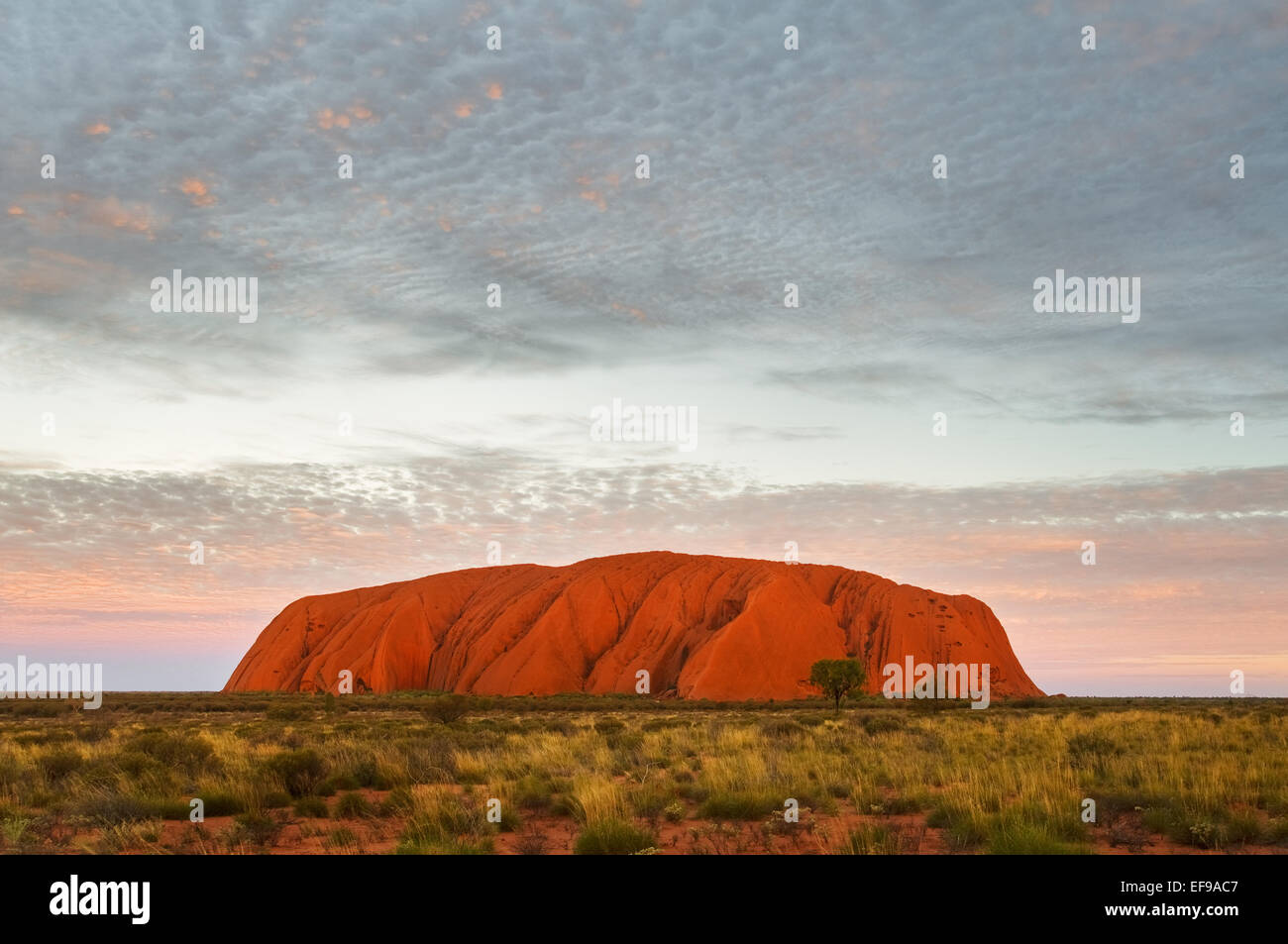 Uluru sunset hi-res stock photography and images - Alamy