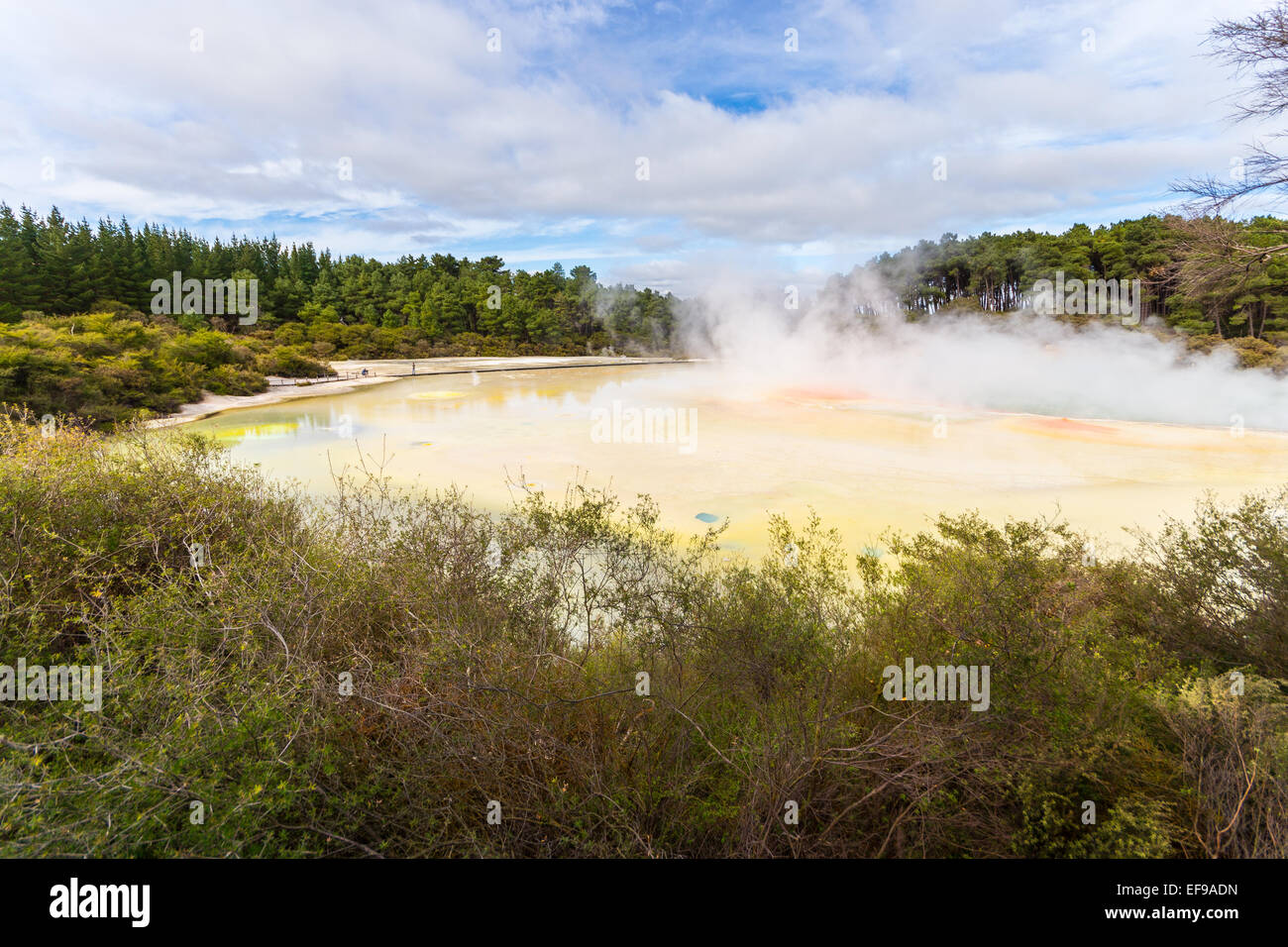 Artist's Palette crater in Waiotapu Thermal Park, a steaming hot pond ...