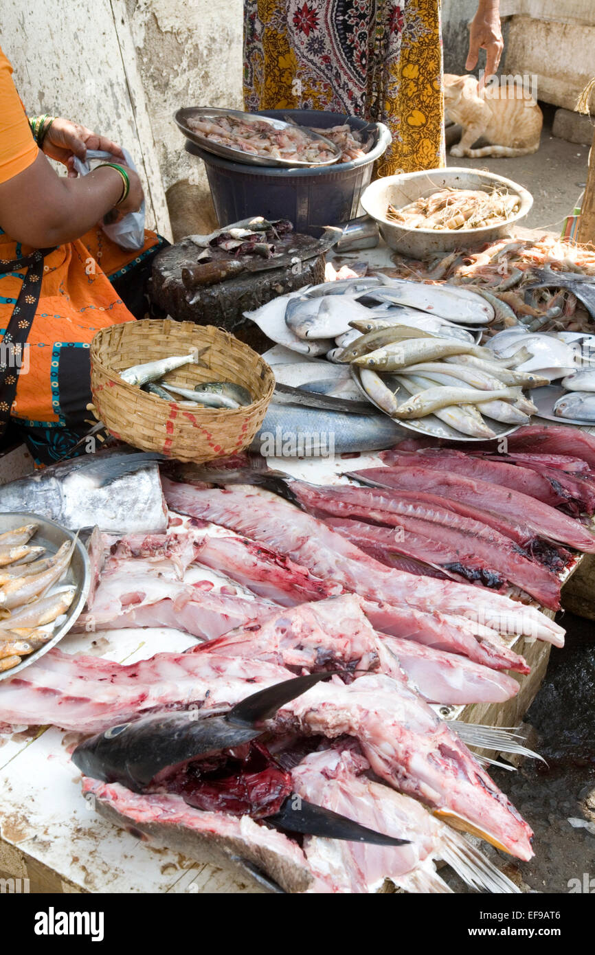 Gutted fish hi-res stock photography and images - Alamy