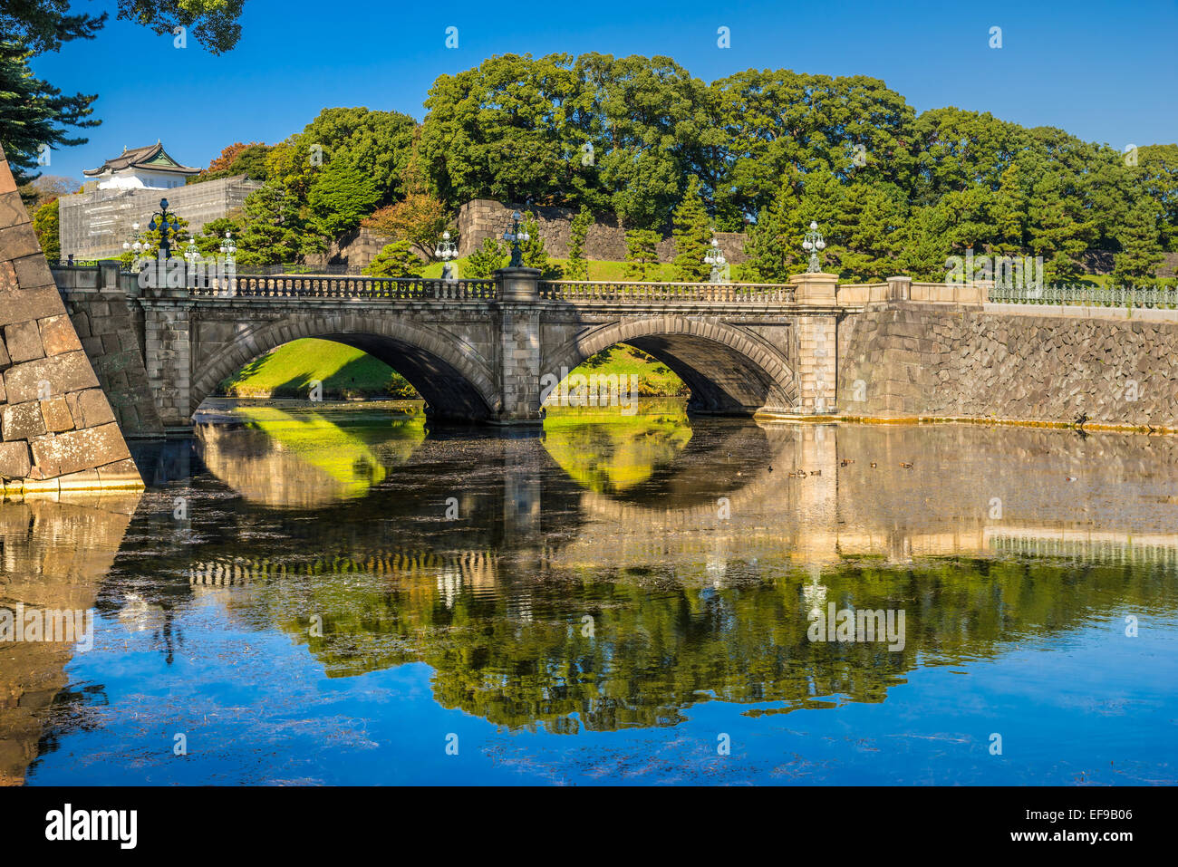 Imperial palace park tokyo hi-res stock photography and images - Alamy