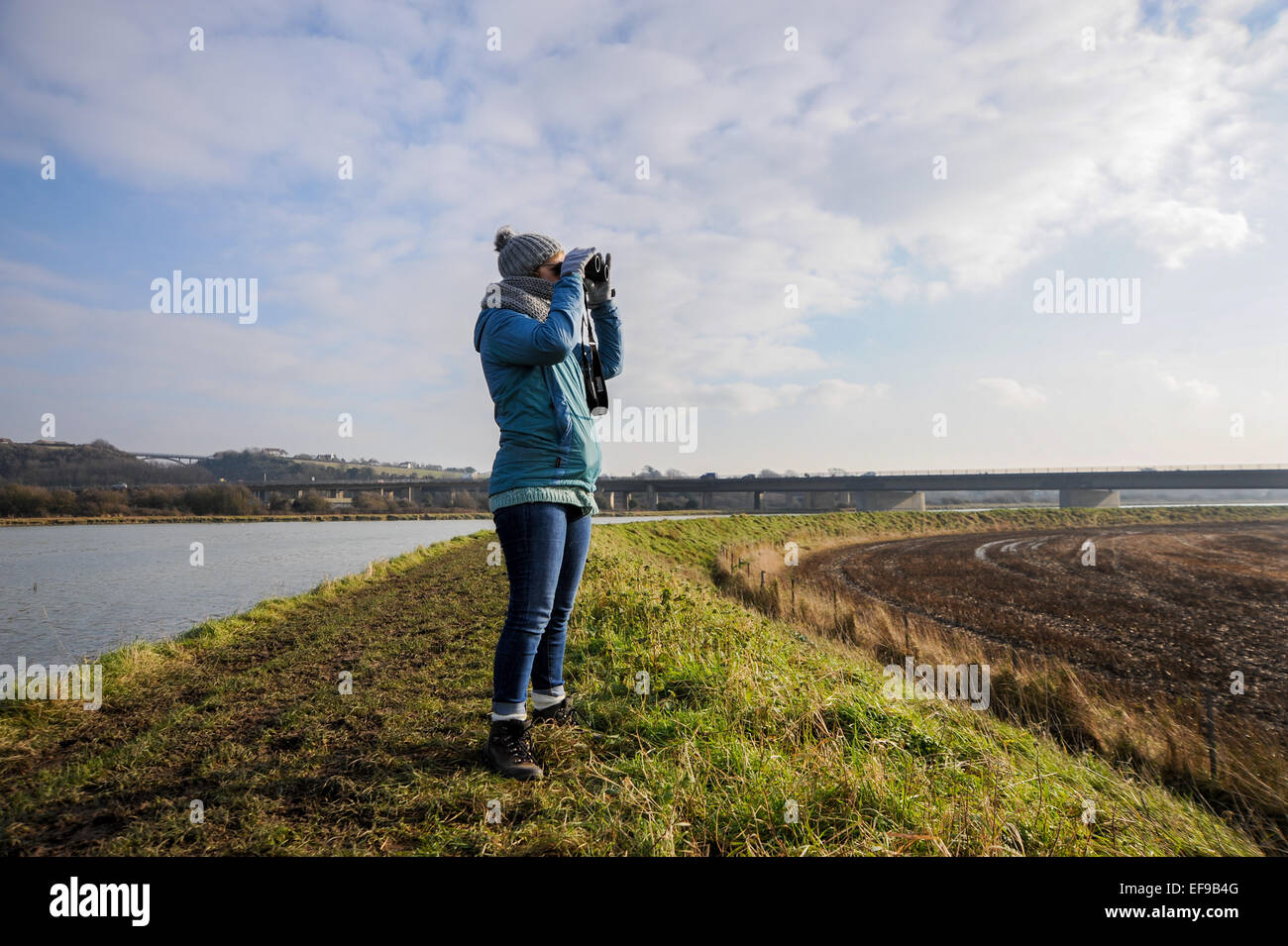 Woman birdwatching with binoculars on the banks of the River Adur at ...
