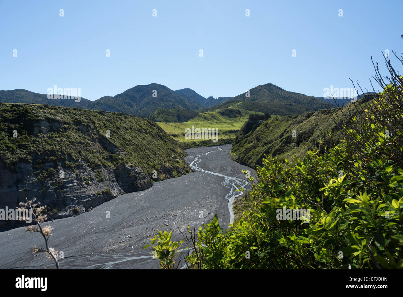 Zufluss zur Palliser Bay, influx or inlet to Palliser Bay, newzealand ...