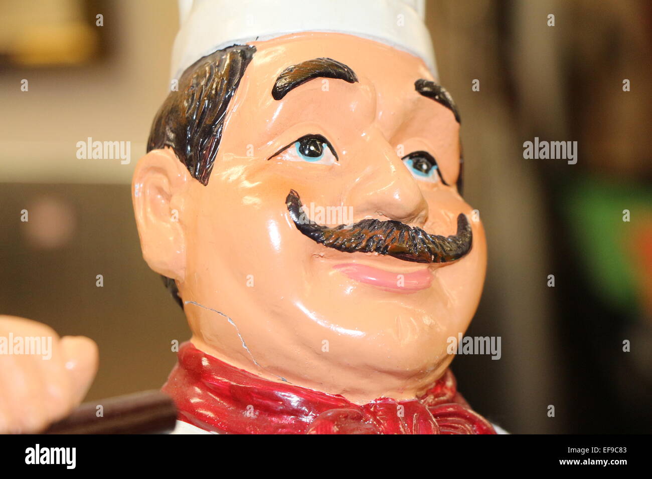 a chef ready to serve,chef, happy chef , restaurant chef , food ...