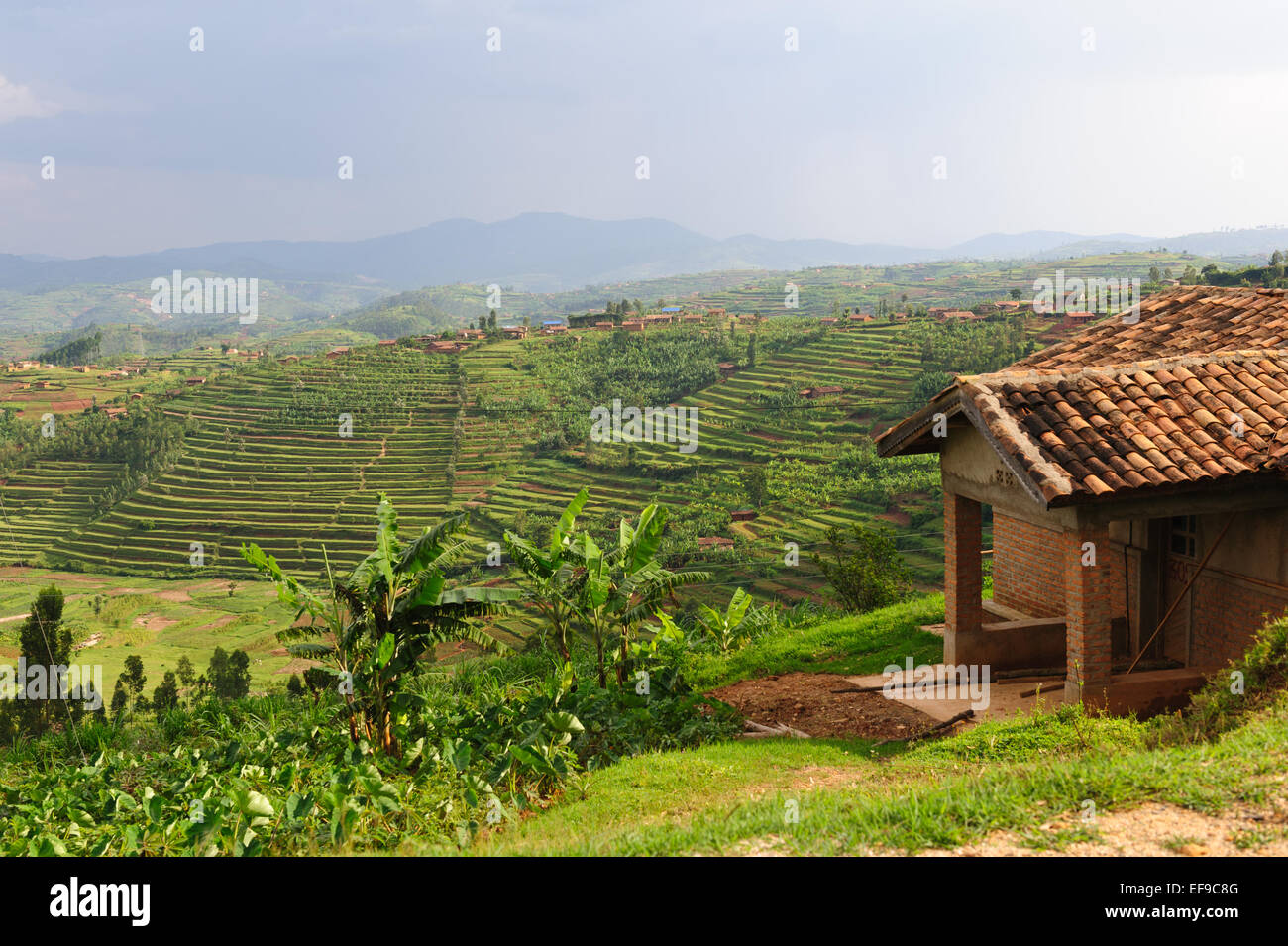 Terrace farming rwanda hi-res stock photography and images - Alamy