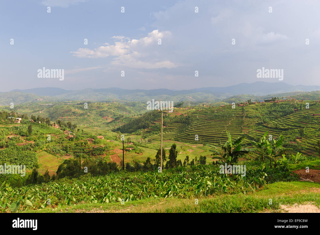 Terrace Farming Rwanda High Resolution Stock Photography and Images - Alamy