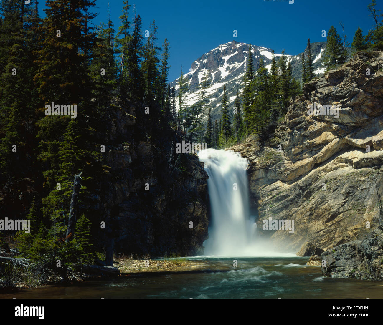 Running Eagle(aka "Trick") Falls & Rising Wolf Mountain,Glacier ...