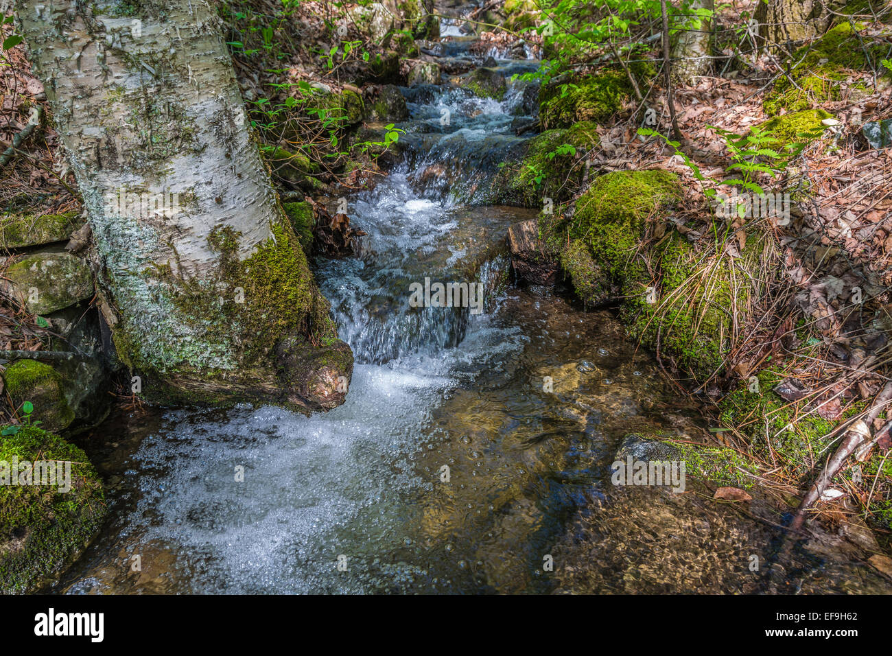 A fast flowing stream from mountain runoff near Sleeping Beauty ...