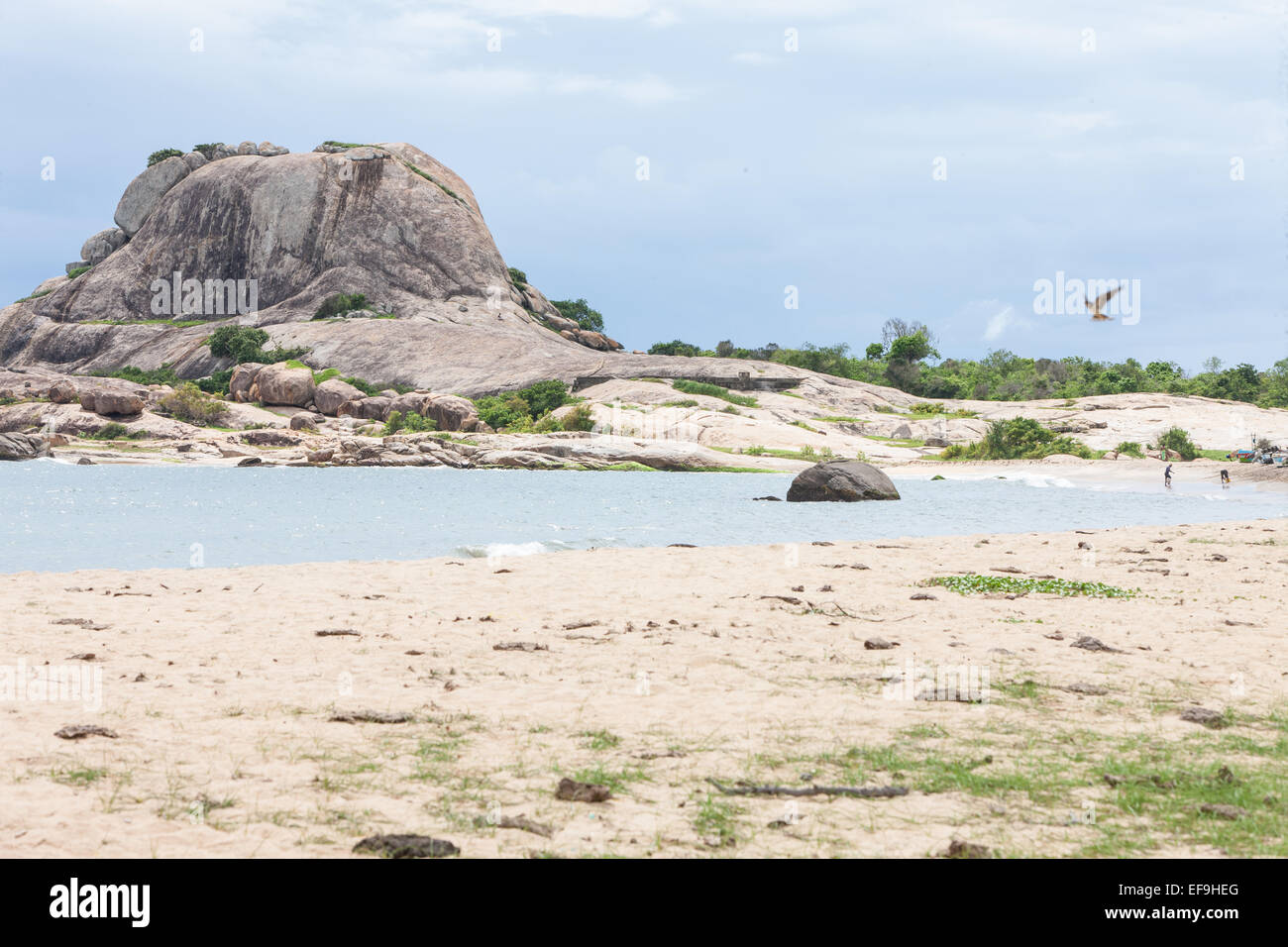 Yala national park beach hi-res stock photography and images - Alamy