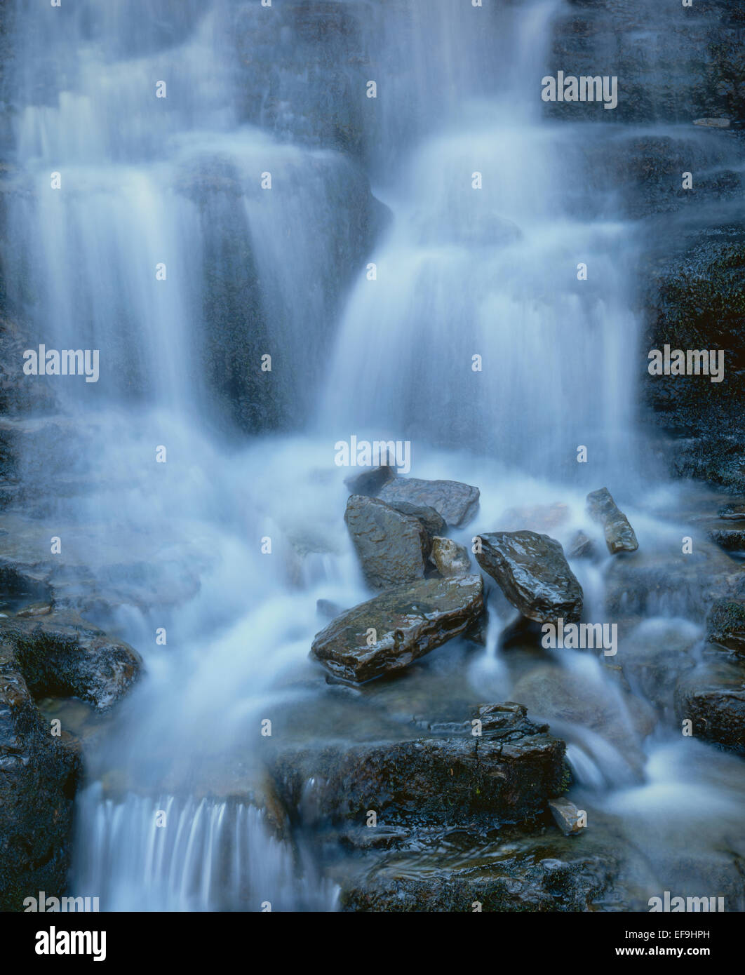 Silky waterfall on Logan Pass,Glacier National Park, Montana, USA Stock ...
