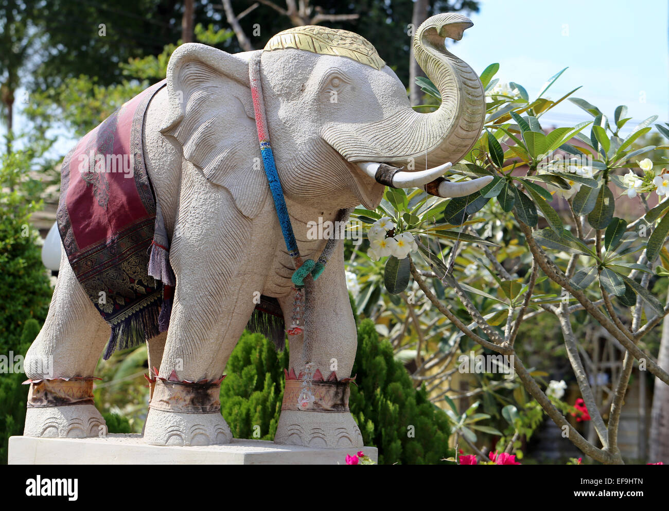 Elephant thai hi-res stock photography and images - Alamy