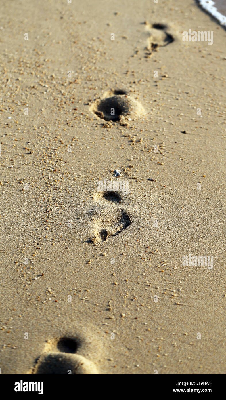 Human traces on sand Stock Photo - Alamy