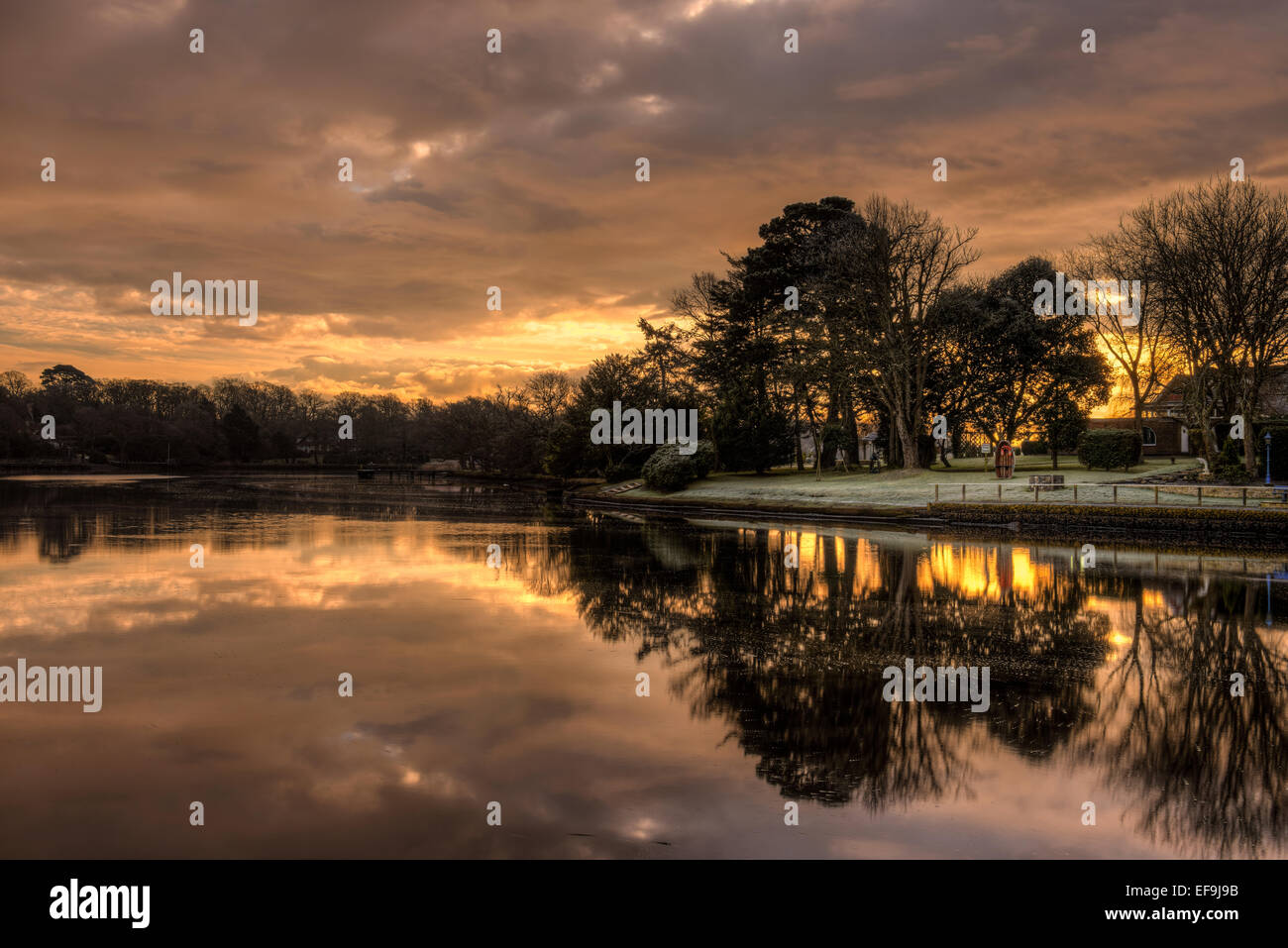 Beaulieu river, new forest hi-res stock photography and images - Alamy