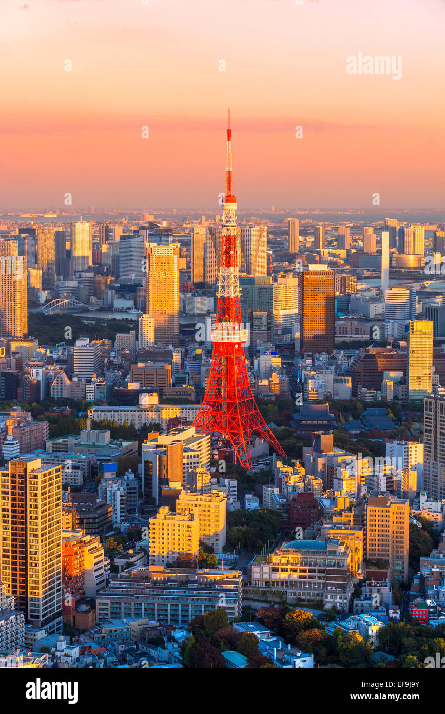 View of Tokyo Skyline Tokyo, Japan Stock Photo - Alamy