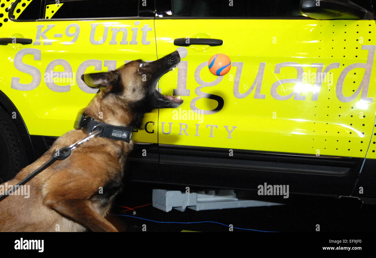 Narcotics Detection Dog Stock Photos & Narcotics Detection Dog Stock ...