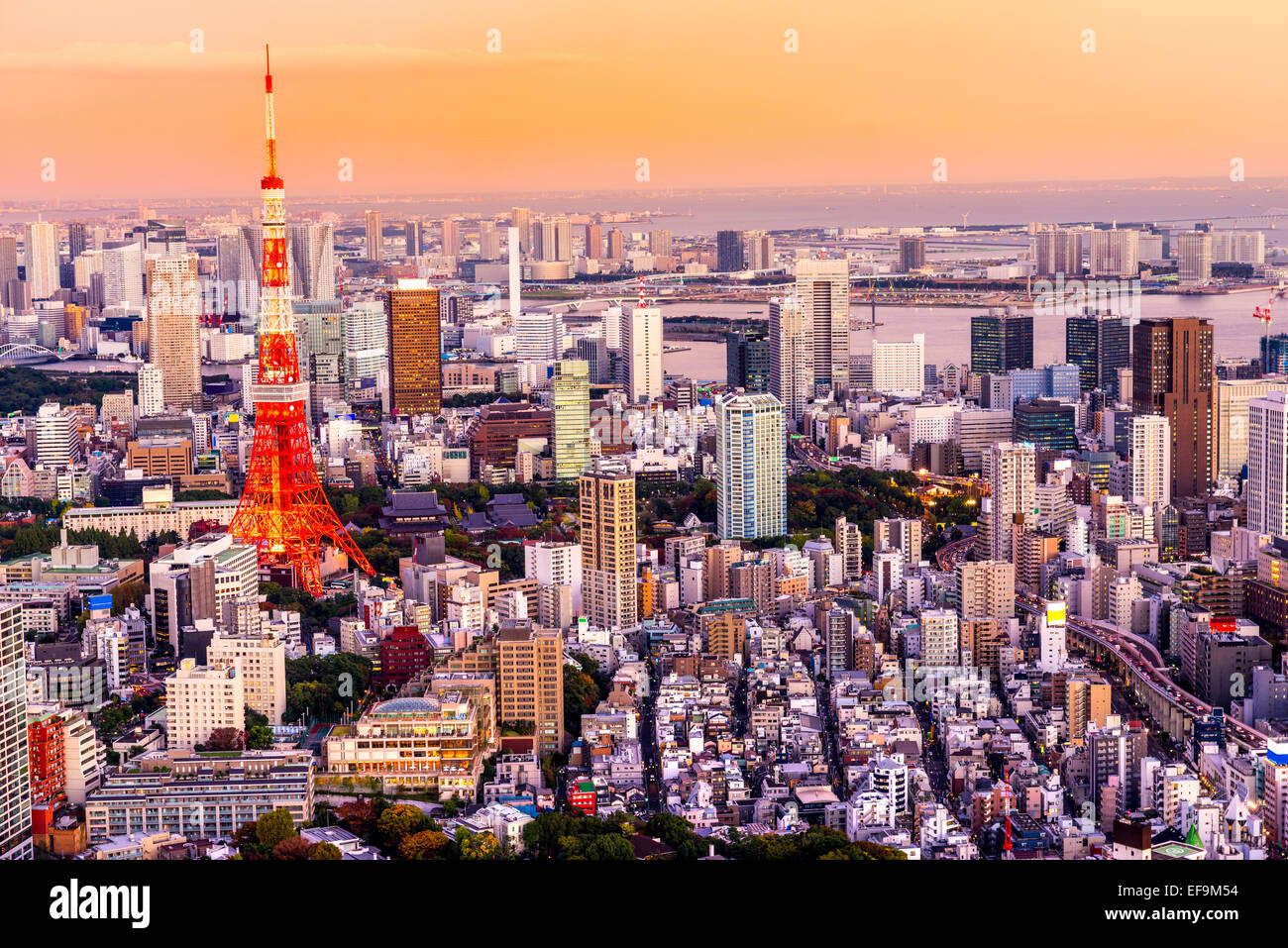 View of Tokyo Skyline Tokyo, Japan Stock Photo - Alamy