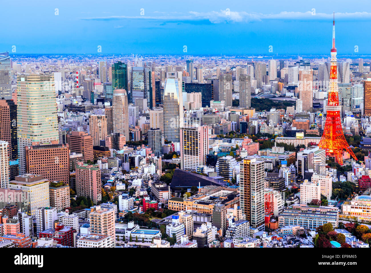 View of Tokyo Skyline Tokyo, Japan Stock Photo - Alamy