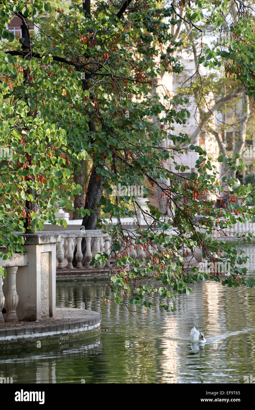 Urban pond hi-res stock photography and images - Alamy