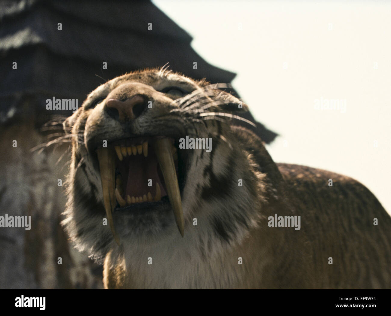 Sabre Tooth Tiger High Resolution Stock Photography and Images - Alamy