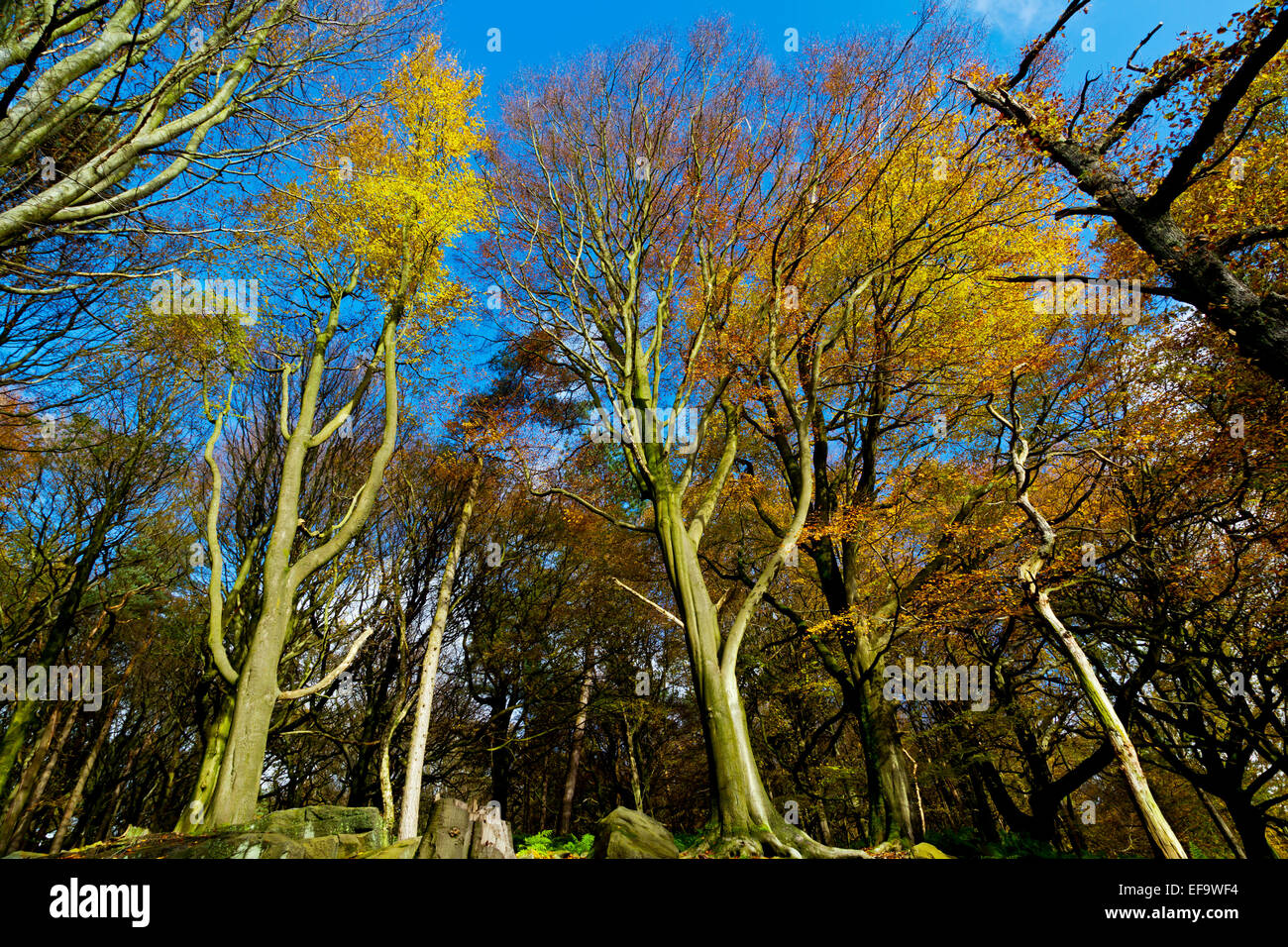 Hardcastle hi-res stock photography and images - Alamy