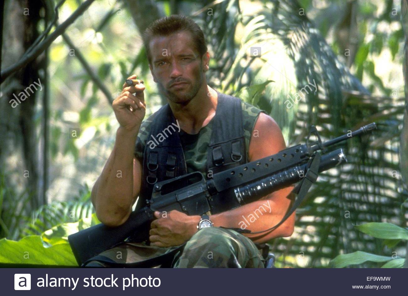 General Cigar Company Stock Photos & General Cigar Company Stock Images ...