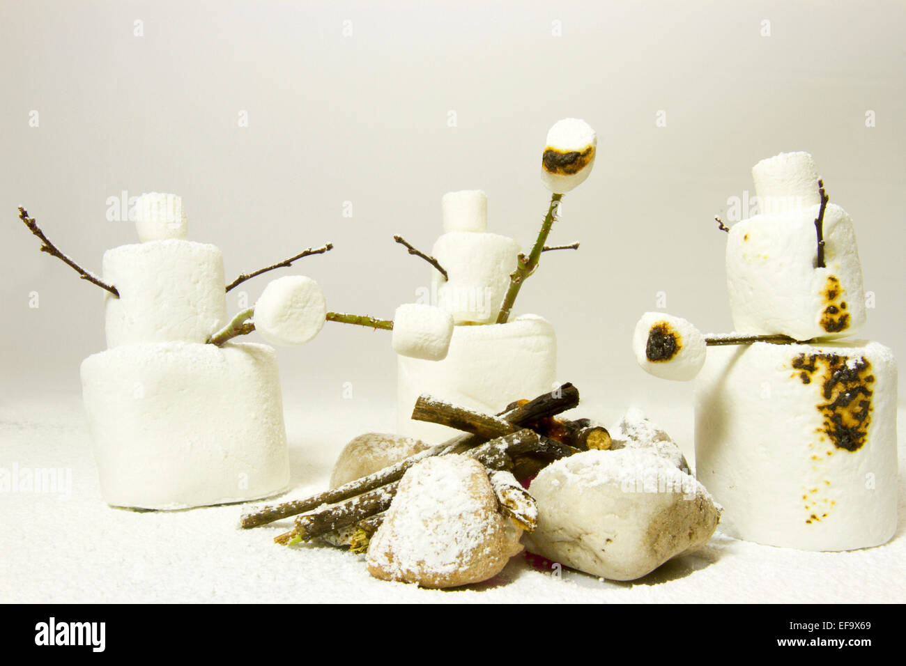 Marshmallow snow men roasting marshmallows over campfire Stock Photo ...