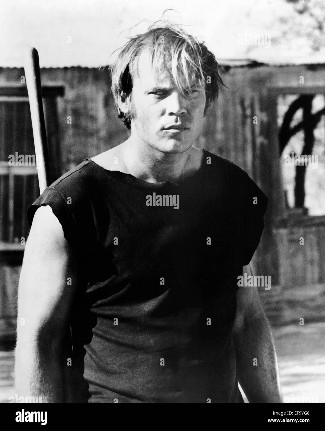 Don Stroud High Resolution Stock Photography and Images - Alamy