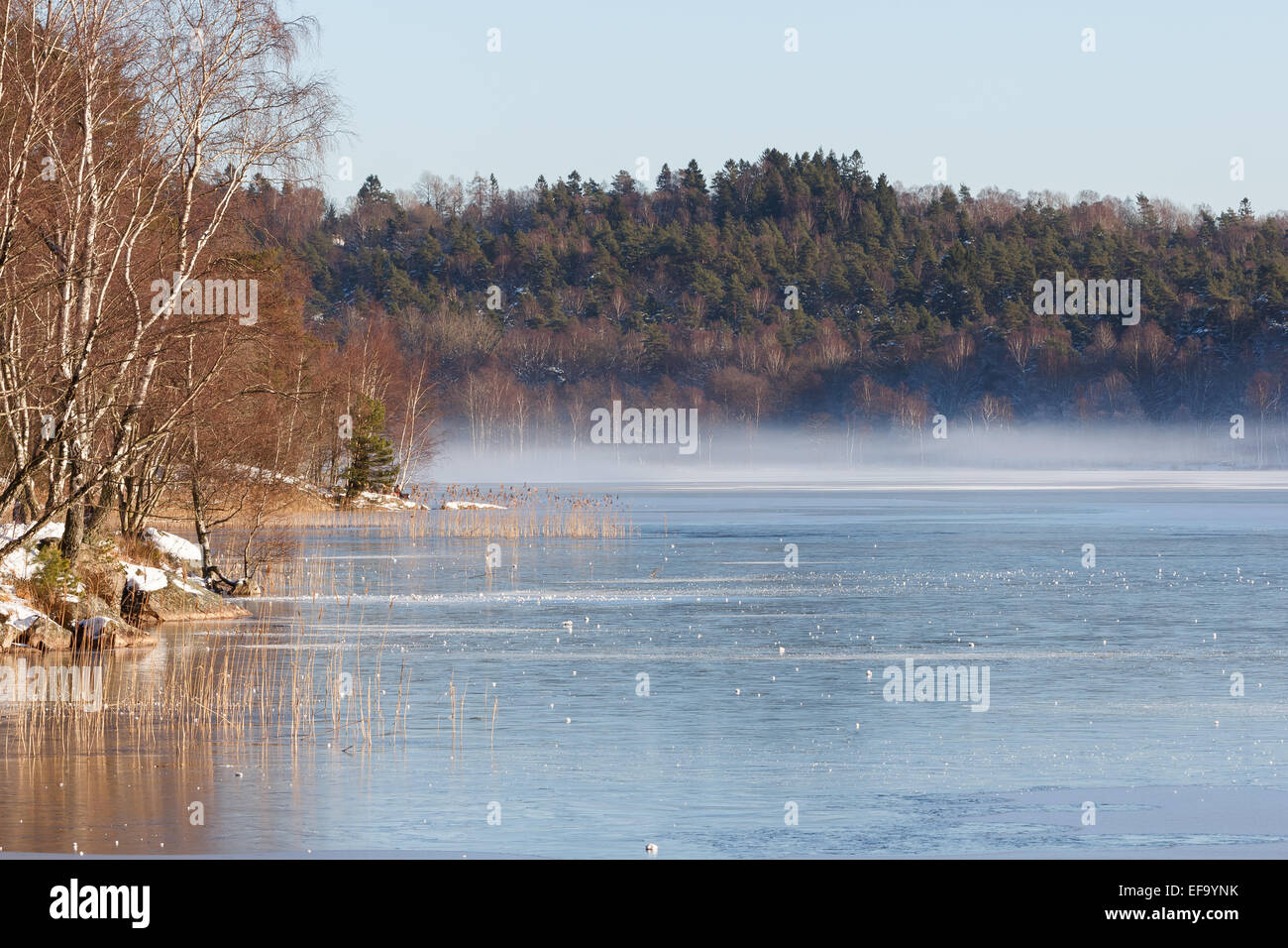 Snow lake grass hi-res stock photography and images - Alamy