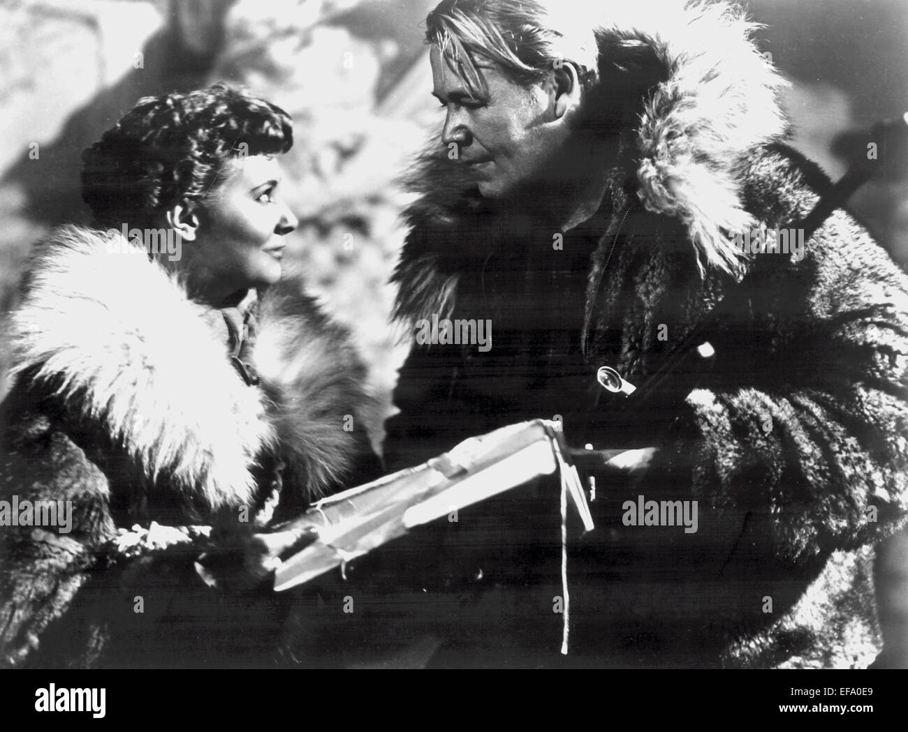 Wayne morris hi-res stock photography and images - Alamy