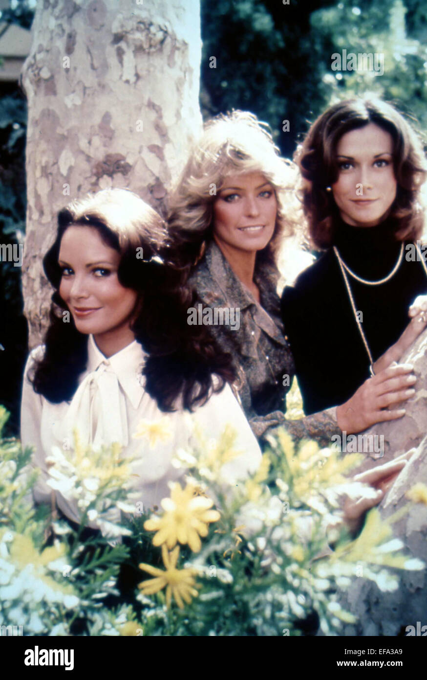 Fawcett Jaclyn Smith Kate Jackson High Resolution Stock Photography and Images - Alamy