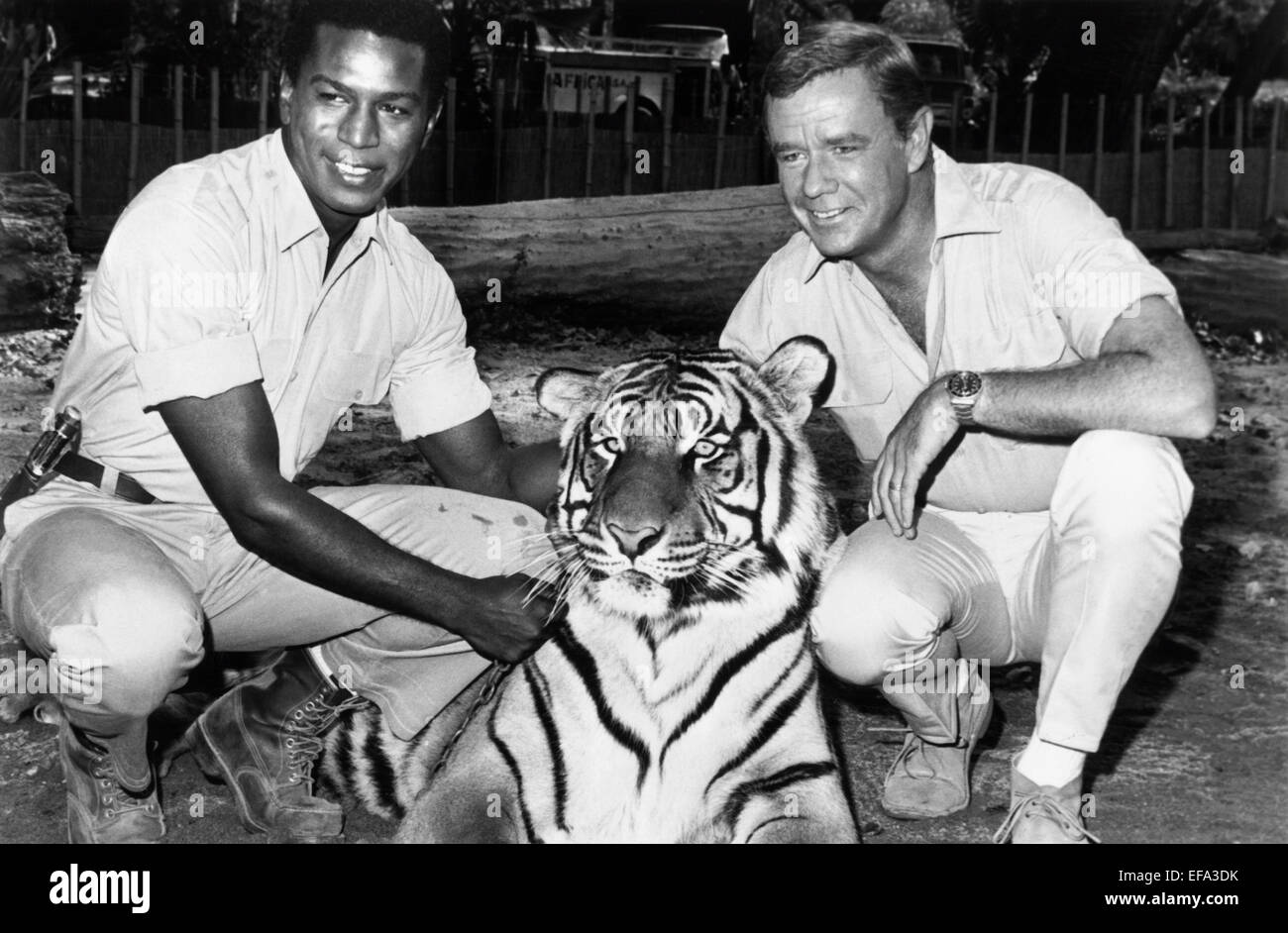 Hari Rhodes High Resolution Stock Photography and Images - Alamy