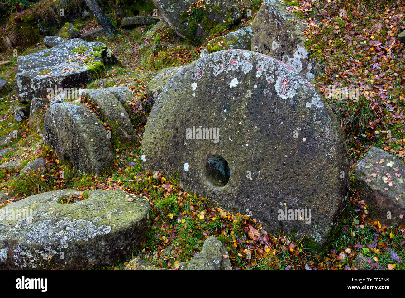 Abandoned gritstone mill stones in old quarry at Padley Gorge on ...