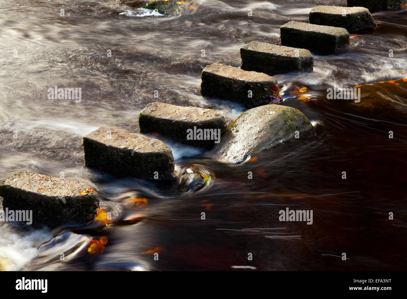 Stepping stone hi-res stock photography and images - Alamy