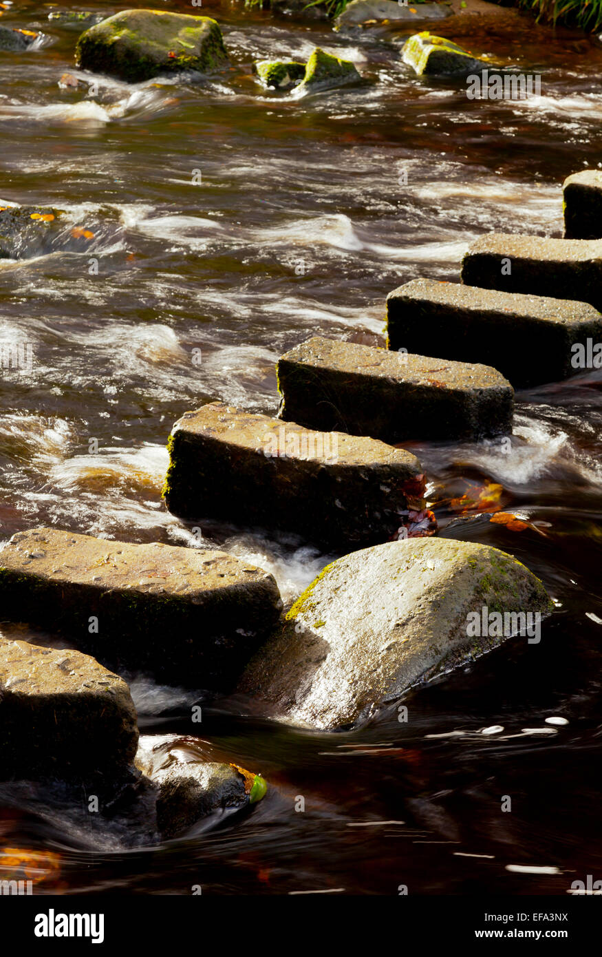 Stepping stones over a river with water swirling around the rocks Stock ...