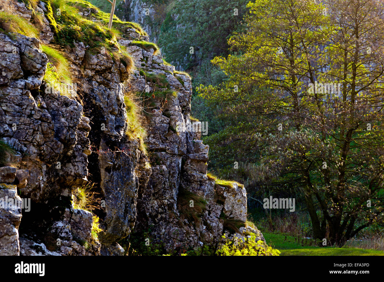 Limestone scenery at Wolfscote Dale near Hartington in White Peak area ...