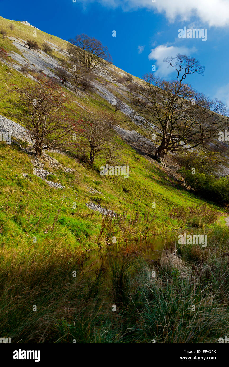 Limestone scenery at Wolfscote Dale near Hartington in White Peak area ...